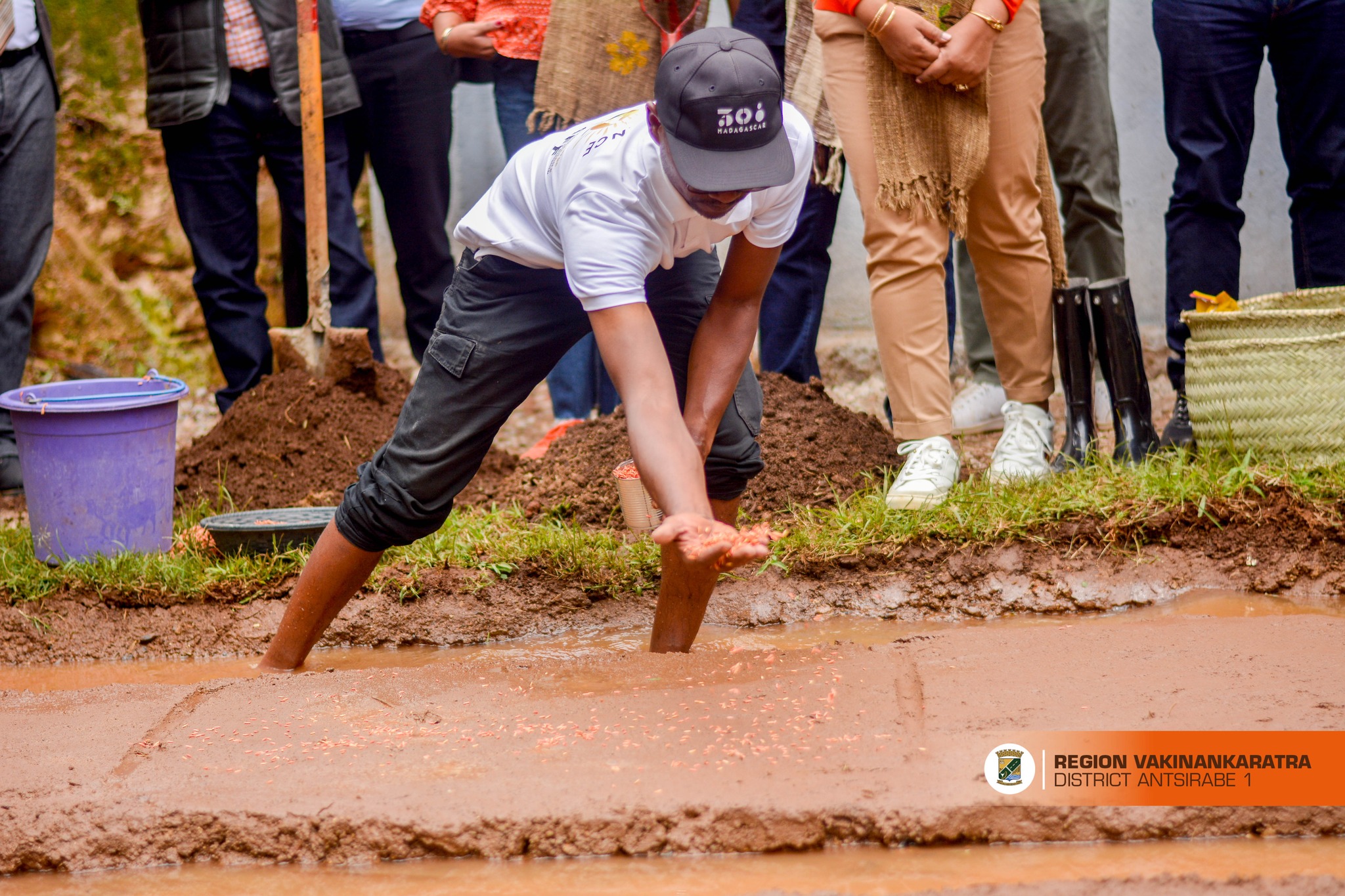 Vakinankaratra accélère sa production de riz hybride